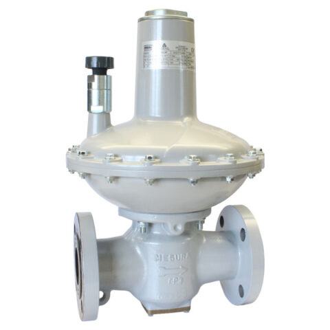 Type S22 Spring Loaded Gas Pressure Regulators | MESURA